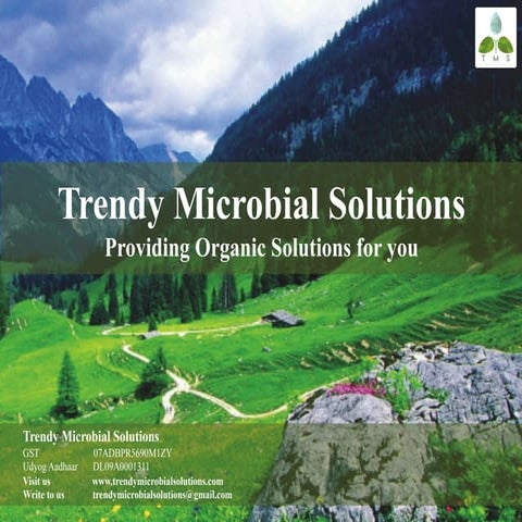 Enzymes for Monsoon-Proof Wastewater Plant | PDF