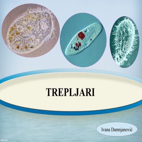 Trepljari | PPT