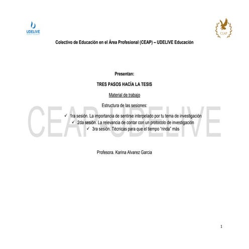 Protocolode Investigación_Universidad Veracruzana.pdf