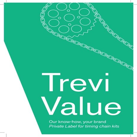 Trevi value | PDF