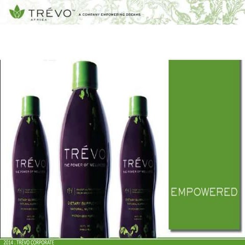 Trevo presentation 2015 | PPTX