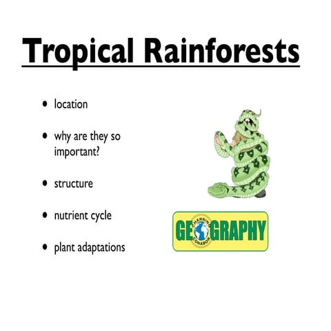 Tropical Rainforest intro | KEY