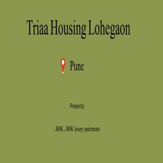 Tribeca The Ark Voyage NIBM, Pune E-Brochure.pdf