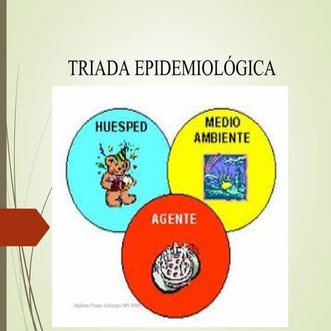 Triada ecologica | PPT