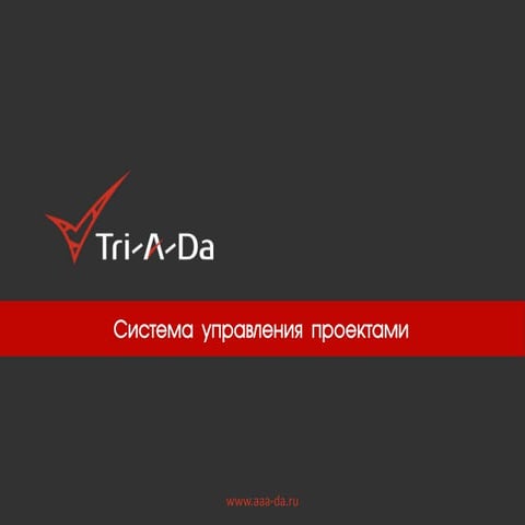Triada project office | PDF | Programming Languages | Computing