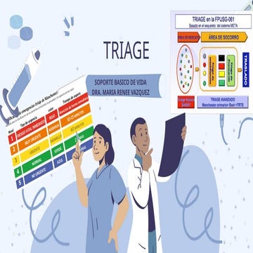 TRIAGE INTRA Y EXTRA HOSPITALARIO SEGUN META | PPTX