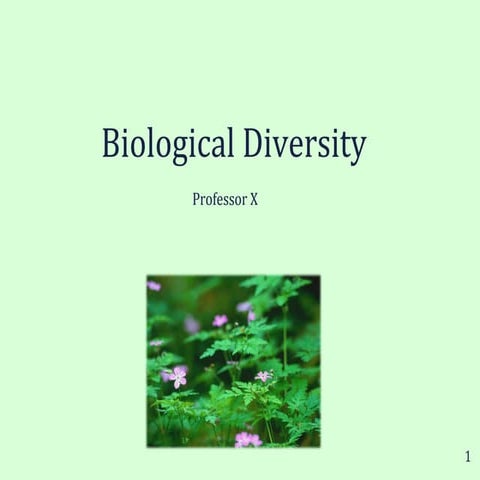 Biodiversity | PPT | Environment | Science