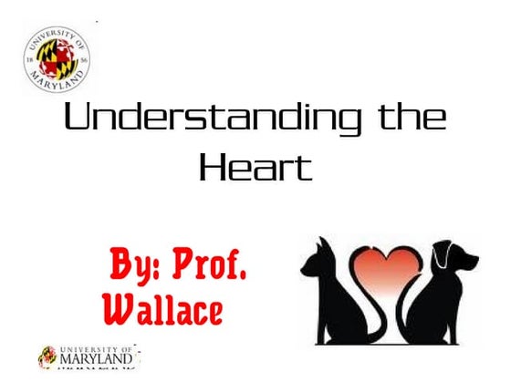 Understanding the Heart | PPT