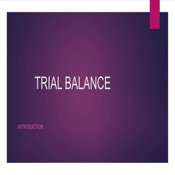 trial balance as 31 Dec 2023 by KPN.pptx