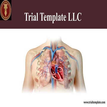 Trial Presentation Services | PPT