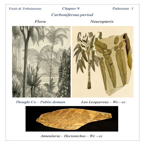 Trials &Tribulations Chapter 9 - carboniferous period English | PDF