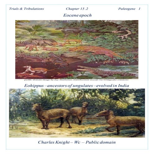 Eocene Epoch Animals Trials & Tribulations Chapter 15 .2 Eocene Epoch