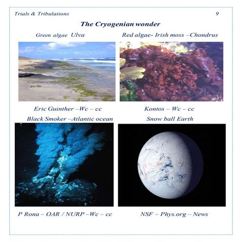 Trials and Tribulations Chapter 3 - Cryogenian period | PDF