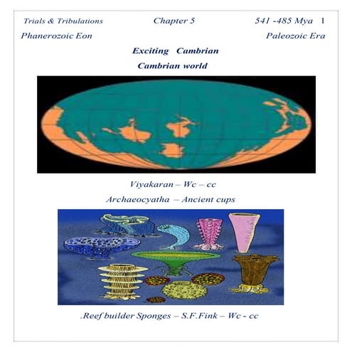 Cambrian radiation Geologic Time Scale... | PPT