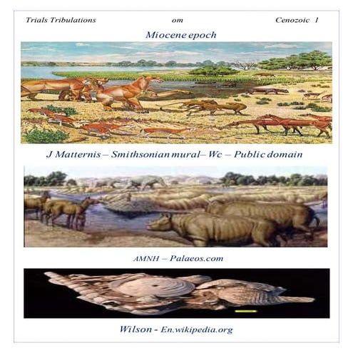 Oligocene Plants And Animals