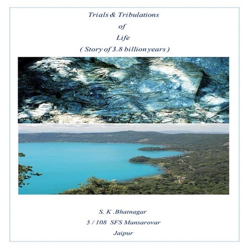 Trial &Tribulations of Life - Book cover & Intoduction English | PDF