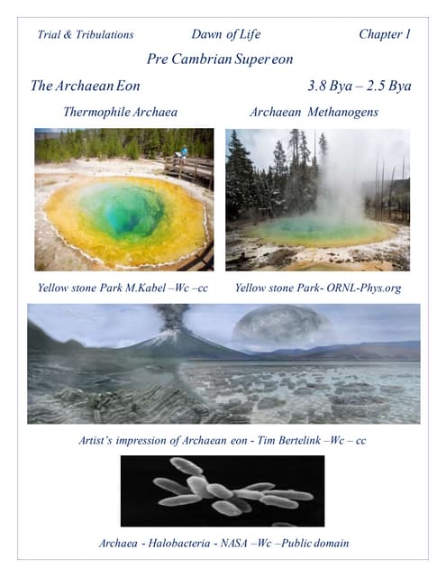 Trials and Tribulations Chapter 3 - Cryogenian period | PDF