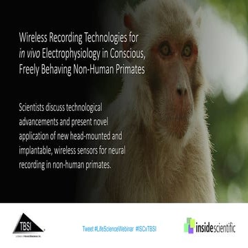 Wireless Recording Technologies for in vivo Electrophysiology in ...
