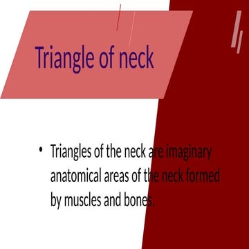 Carotid Triangle (Anatomy of the Neck) | PPS