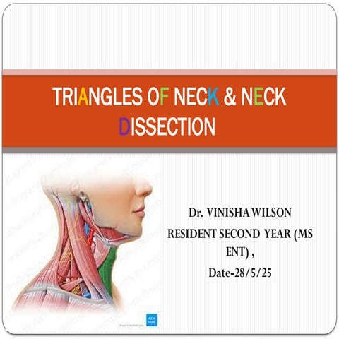 TRIANGLES OF NECK | PDF