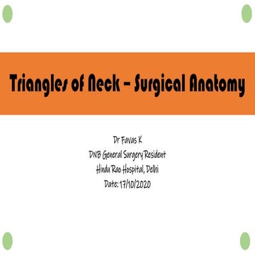 Triangles of Neck.pdf.................... | PDF