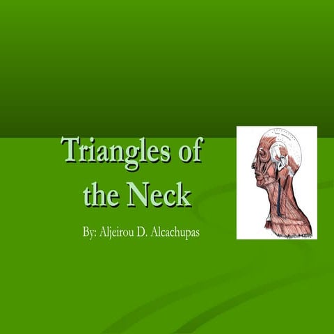 Triangles of the neck | PPT