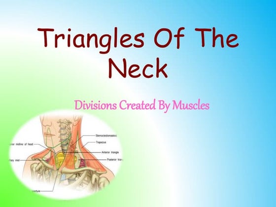 Carotid Triangle (Anatomy of the Neck) | PPS