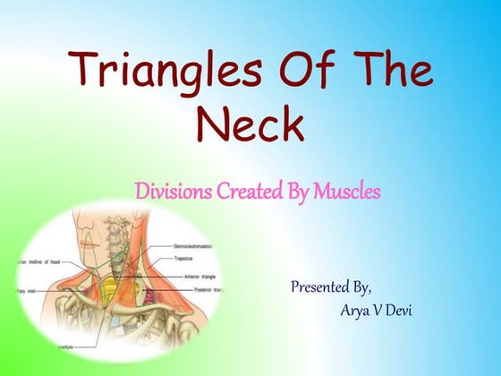 Carotid Triangle (Anatomy of the Neck) | PPS