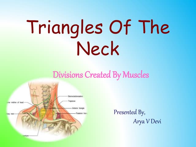 Anatomy of submental and submandibular triangles | PPTX