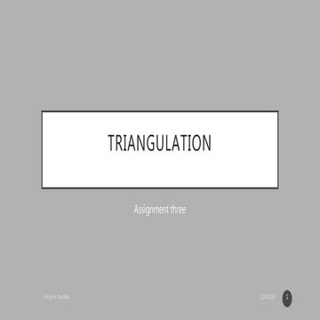 Triangulation Assignment | PPT