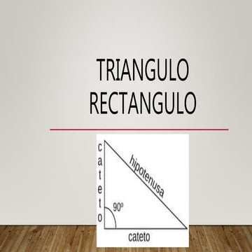 Triangulo rectangulo | PPTX