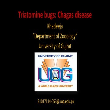 Triatomine bugs-053.pptx