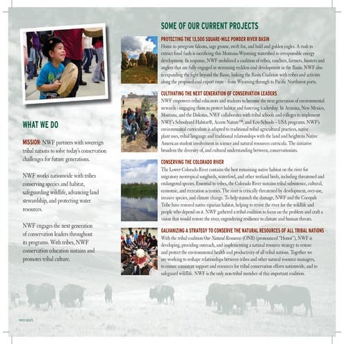 National Wildlife Federation Tribal Lands Partnerships Brochure | PDF