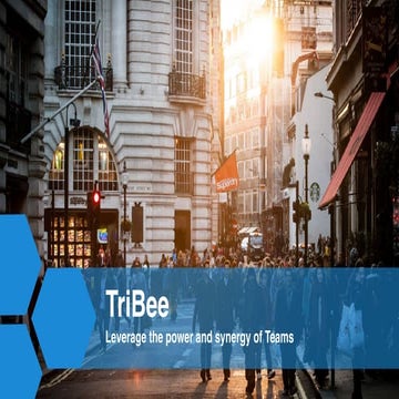 Tribee - Building high synergy teams | PPT