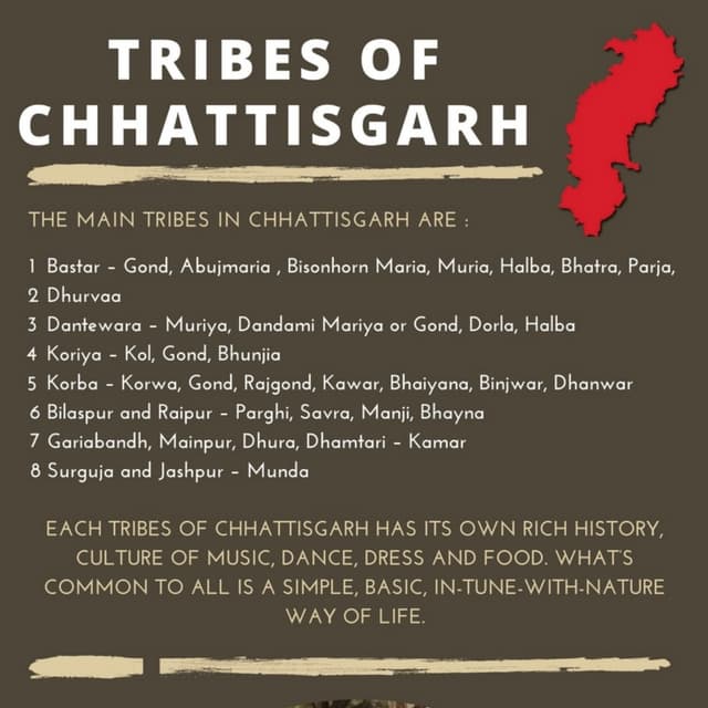 Tribes of chhattisgarh | PDF