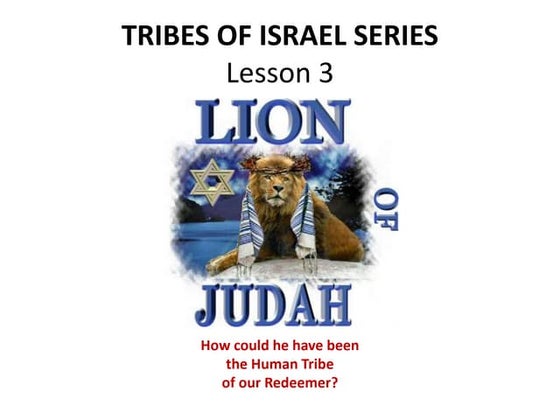 Miracles Performed by Prophets of the Old Testament | PDF