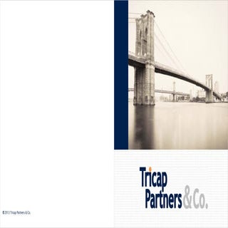Tricap partners & co | PDF
