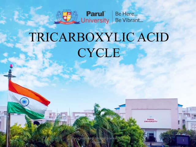 Tricarboxylic Acid Cycle Tca Also Known As The Krebs Cycle Or The