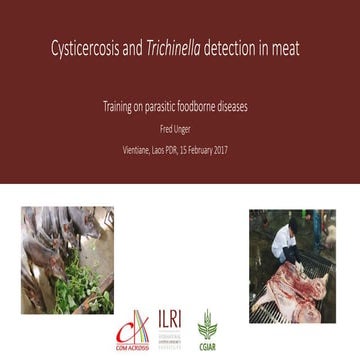 Cysticercosis and Trichinella detection in meat | PPTX