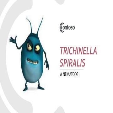 Reduviid bug And Chagas Disease | PPTX