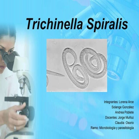 Presentación sobre la Trichinella Spiralis | PPTX