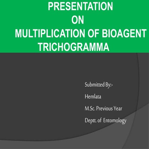 Mass producation of trichogrmma | PPTX