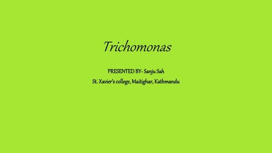 trichomoniasis | PPTX | Sexual Conditions | Sexual Health