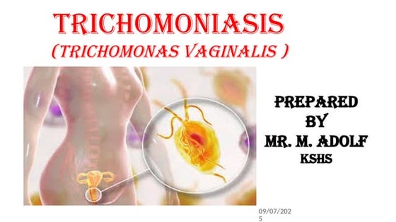 Trichomonas | PPTX