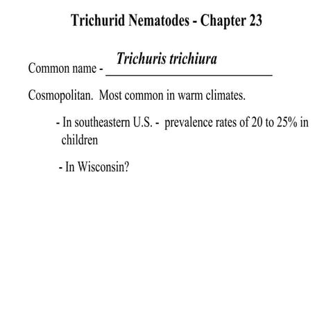 Trichurids | PPT