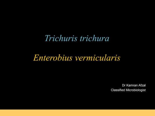 Enterobius vermicularis(PINWORM) | PPTX