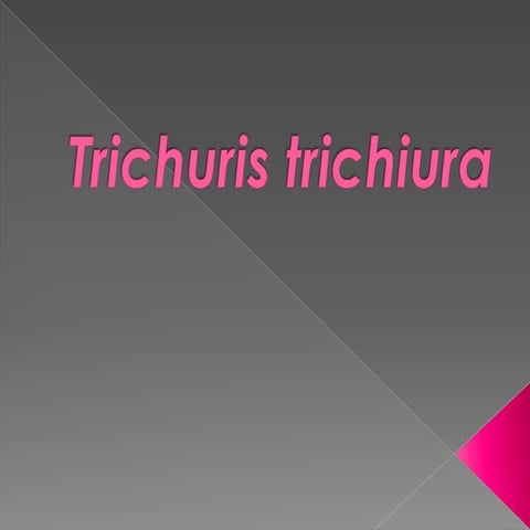Trichuris trichiura | PPTX