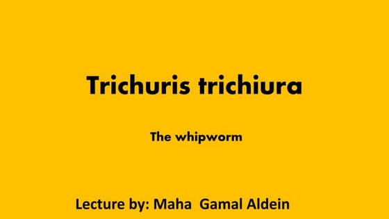 Trichomonas | PPT