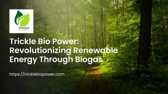 Affordable Biogas Power: Clean Energy Within Your Reach | PPT