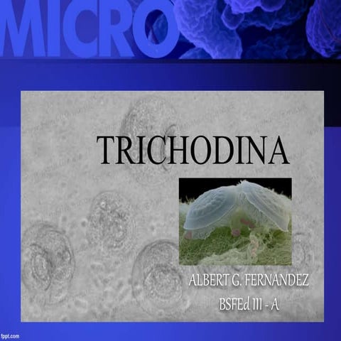 Tricodina parasite | PPTX